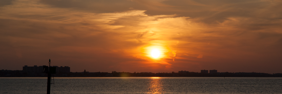 www.LiveSarasota.com
